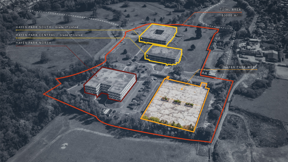 Hayes Park Consultation